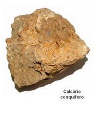 Ciência nos dias de hoje: Rochas sedimentares